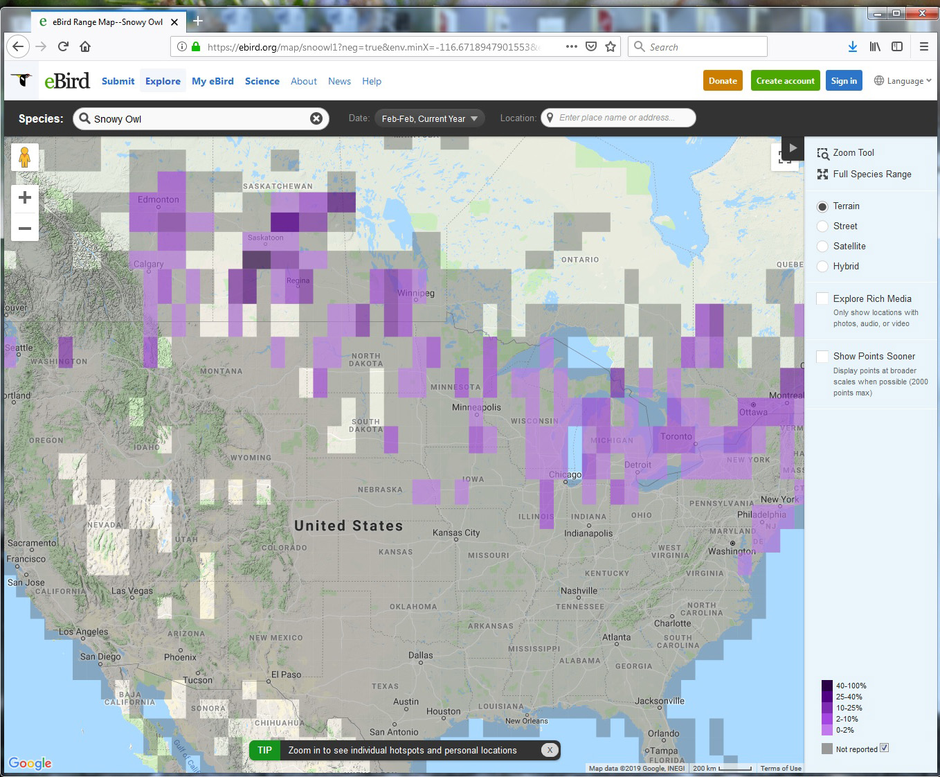 Snowy Owl Update: February 22 | Blog.JimDoty.com
