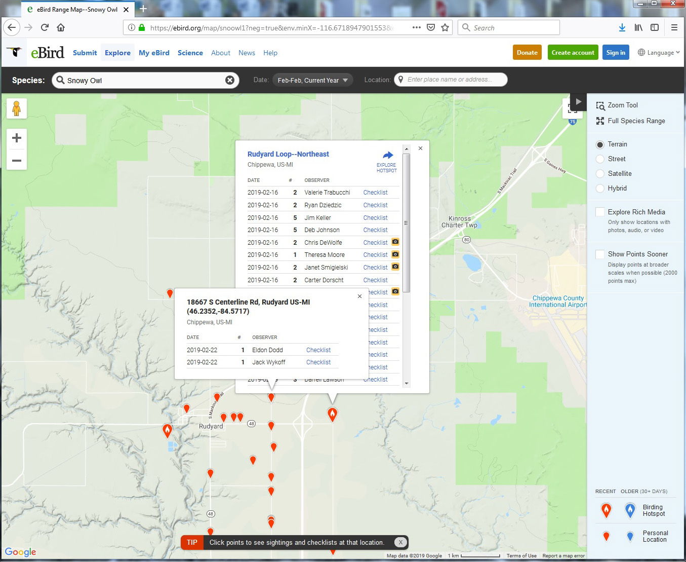 Snowy Owl Update: February 22 | Blog.JimDoty.com