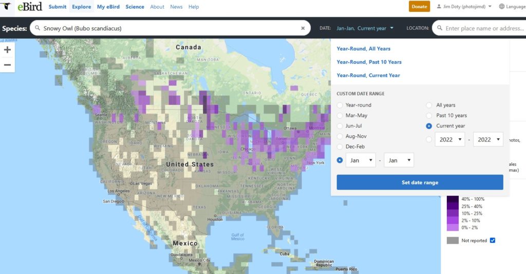 How to Find and Photograph Snowy Owls | Blog.JimDoty.com