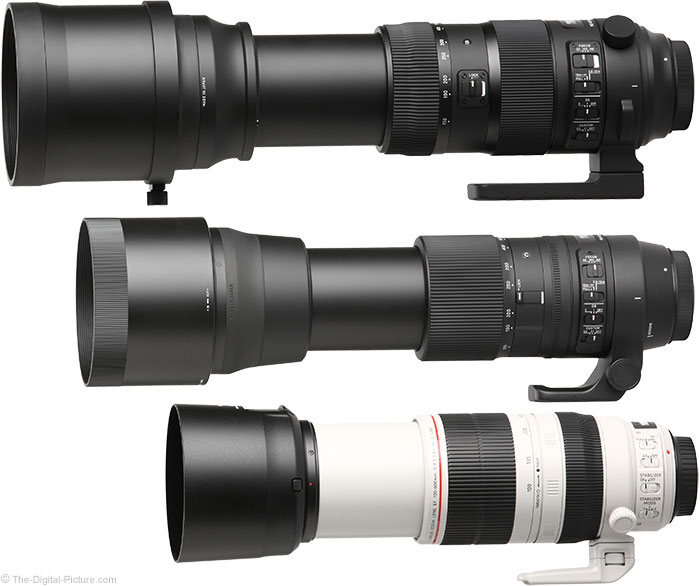 Sigma 150 600mm Vs Tamron 150 600mm Vs Canon 100 400mm Mark II Blog